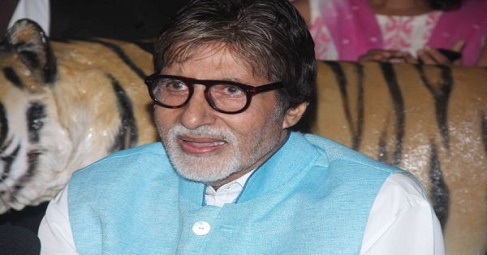 Amitabh Bachchan announced Maharashtra’s Tiger Ambassador, spots real ...