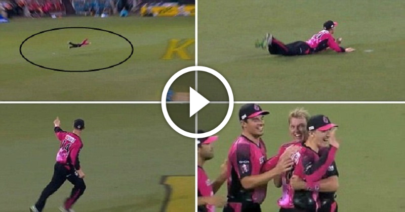 Jordan Silk Takes A Spectacular Catch In Big Bash League [Video]