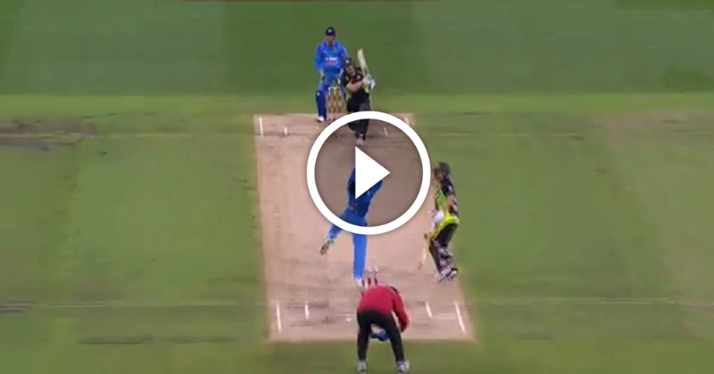 Ravindra Jadeja Takes A Spectacular Catch To Dismiss Shane Watson