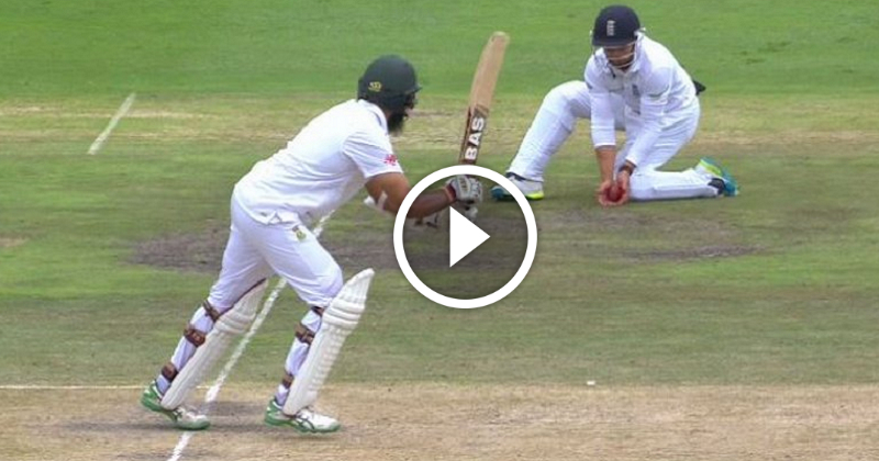 James Taylor Takes Stunning Short Leg Catch Against South Africa