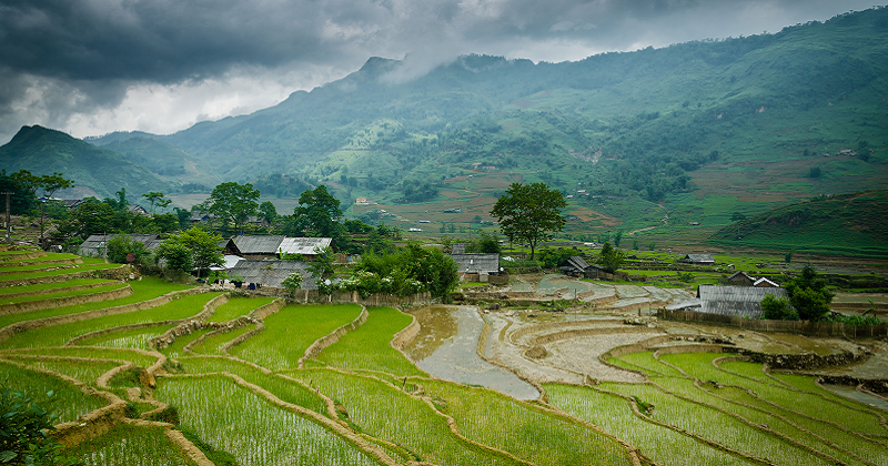 8000-year-old Paddy Field Discovered In China