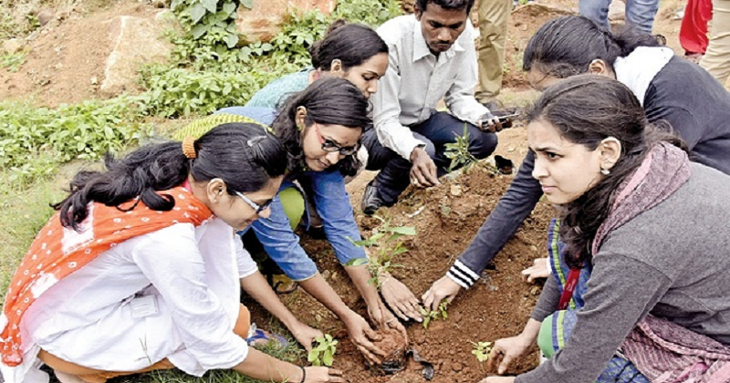 Haritha Haram: Over 25 Lakh Saplings Planted In Hyderabad In A Single Day