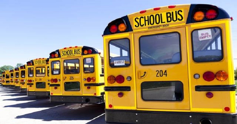 Why All The School Buses Are Painted Yellow In Color