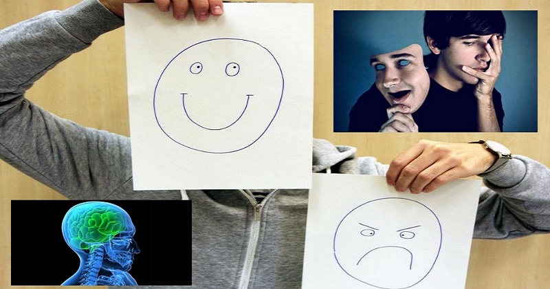 Check Out: New Study Identifies Four Basic Personality Types In Humans