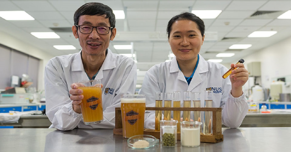 Singapore Scientists Has Come Up With A Beer That Boosts Immune System ...