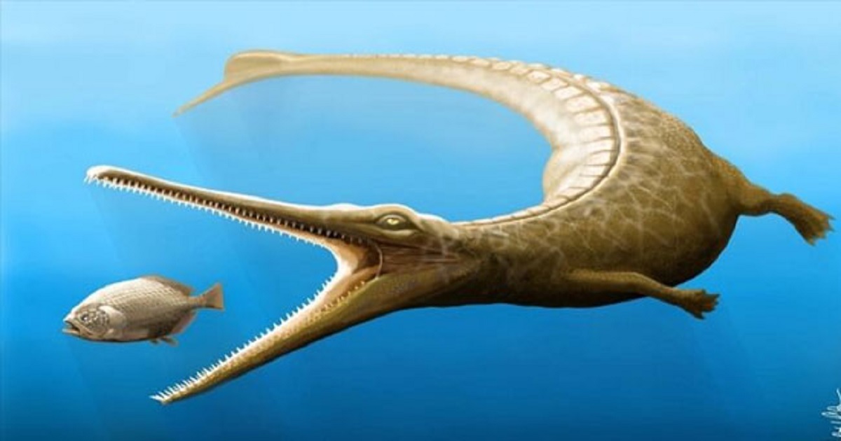 Jurassic Fossil Reveals The Missing Link in Crocodile Family Tree Jurassic Fossil Reveals The Missing Link in Crocodile Family Tree