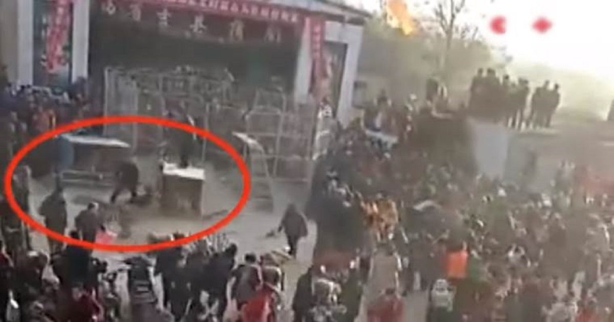 WATCH VIDEO: Horrific! Giant Tiger Attacks Crowd After Escaping From ...