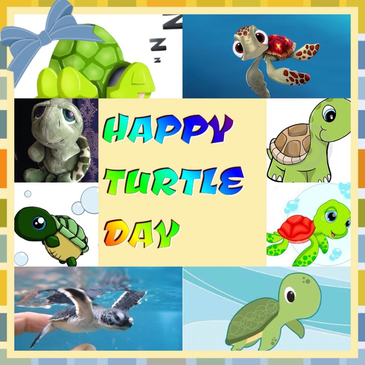 World Turtle Day HD Images, Ultra-HD Wallpapers, and Pictures For ...