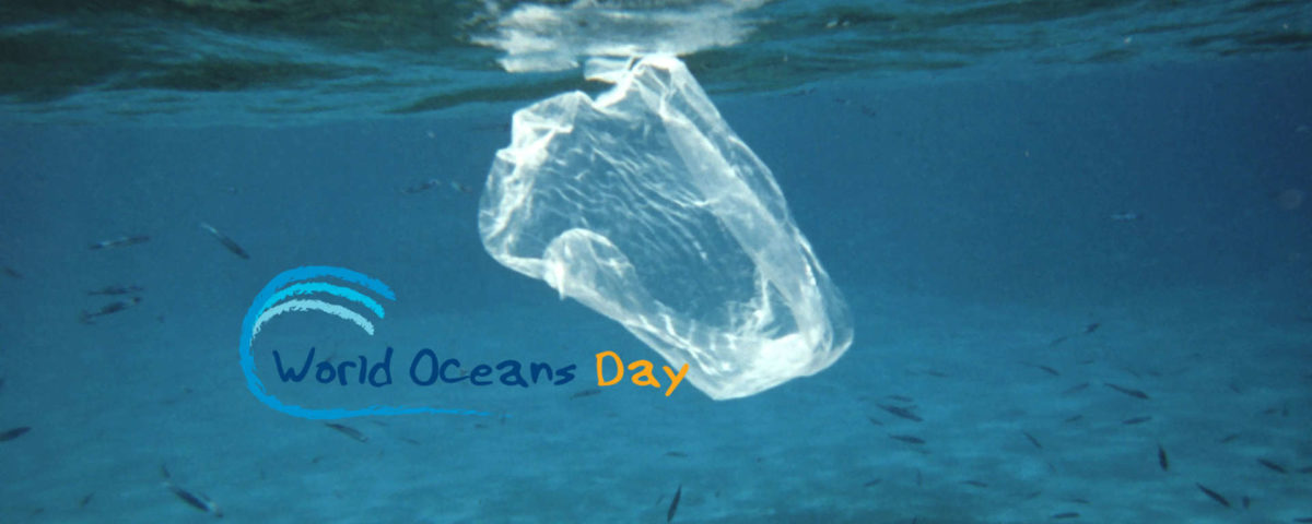 International World Oceans Day HD Pictures And Ultra HD Wallpapers ...