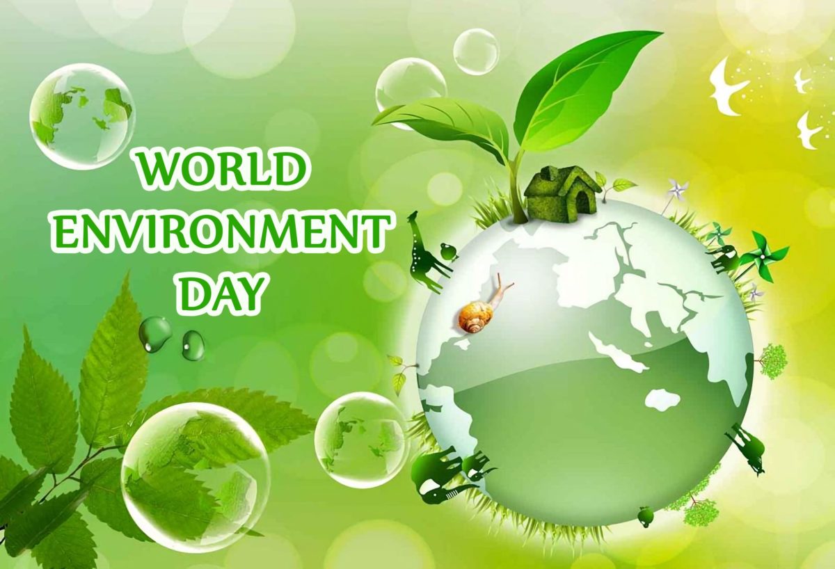 World Environment Day HD Pictures 2019 And HD Wallpapers For WhatsApp ...