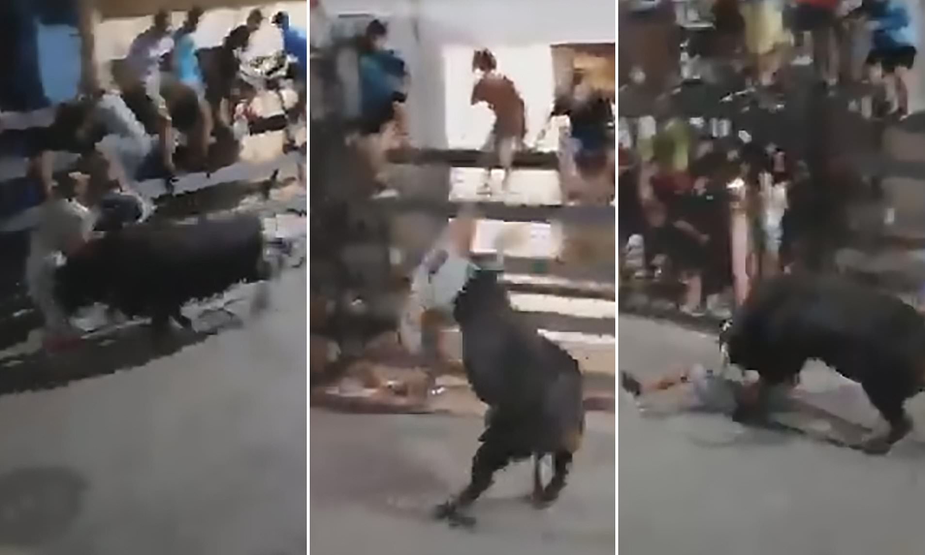 Rampaging Bull Sends Tourist Flying During Bous al Carrer Festival In Spain