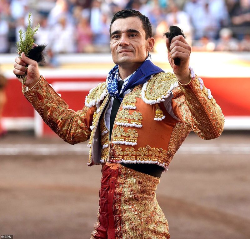 Spanish Bullfighter In Extreme Pain After Angry Bull Gored His Groin ...