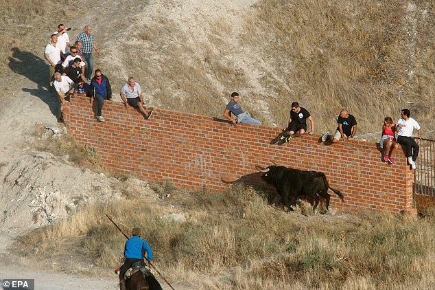 62-Year-Old Man Dies After Rampaging Bull Gored Him In His Chest And ...