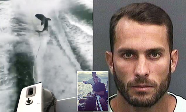 Florida Man Who Filmed Shark Being Dragged To Death Gets 10 Days In Jail