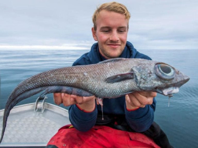 Norwegian Angler Catches Alien-Like Fish With Massive Eyes