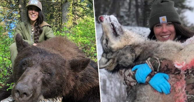 American Trophy Hunter Receives Thousands Of Death Threats For Posting ...