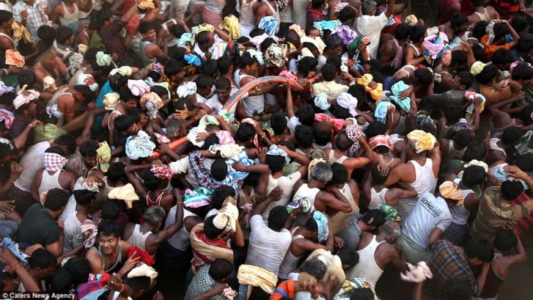 Thousands Of Indian Villagers Gather To Throw Cow Dung Cakes At Each ...