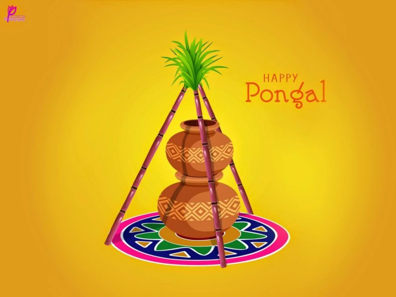 Happy Pongal 2020 Images, HD Pictures, Ultra-HD Wallpapers, 3D Photos ...