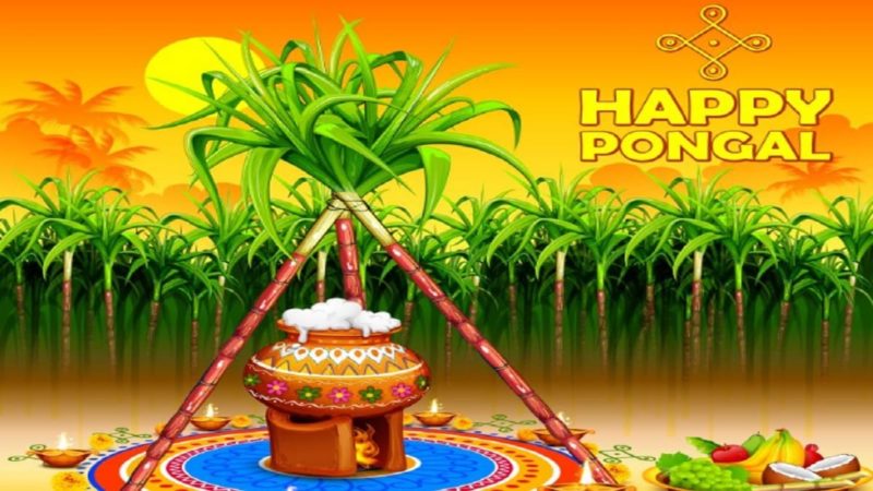 Happy Pongal 2020 Images, HD Pictures, Ultra-HD Wallpapers, 3D Photos ...