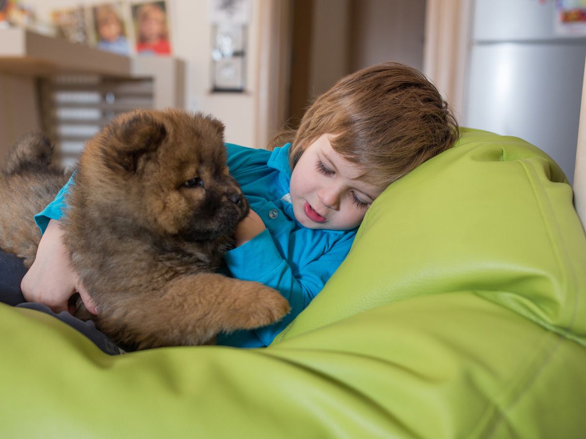 Cuddle With Your Pet Dogs: This Is How Your Children Can Earn During ...