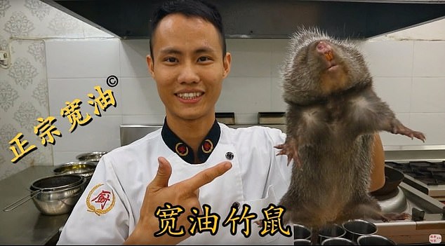 Thousands Of Chinese Farmers And Chefs Cooked And Sold Massive Rats ...