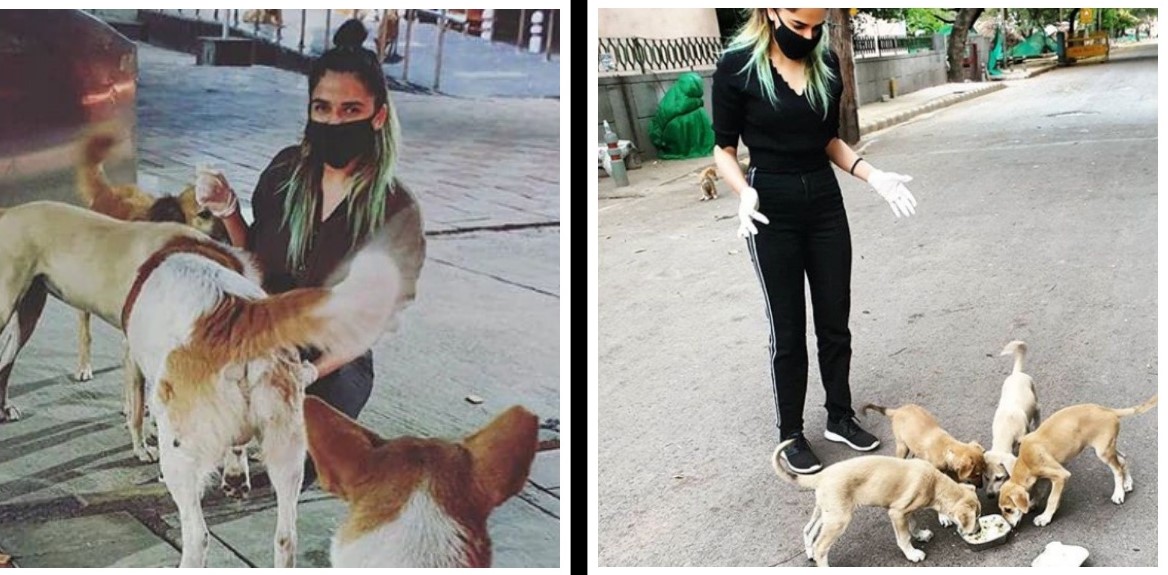 Indian Veterinary Student Feeds Hungry Stray Dogs During Coronavirus ...