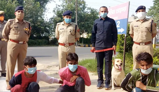 India: Tracker Dog Helps Police Catch 3 Men That Were Behind Blind ...