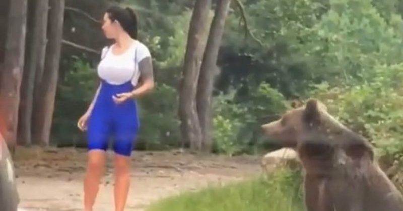 Dumb Woman Poses For Picture With Massive Wild Bear, Ends Up Running ...