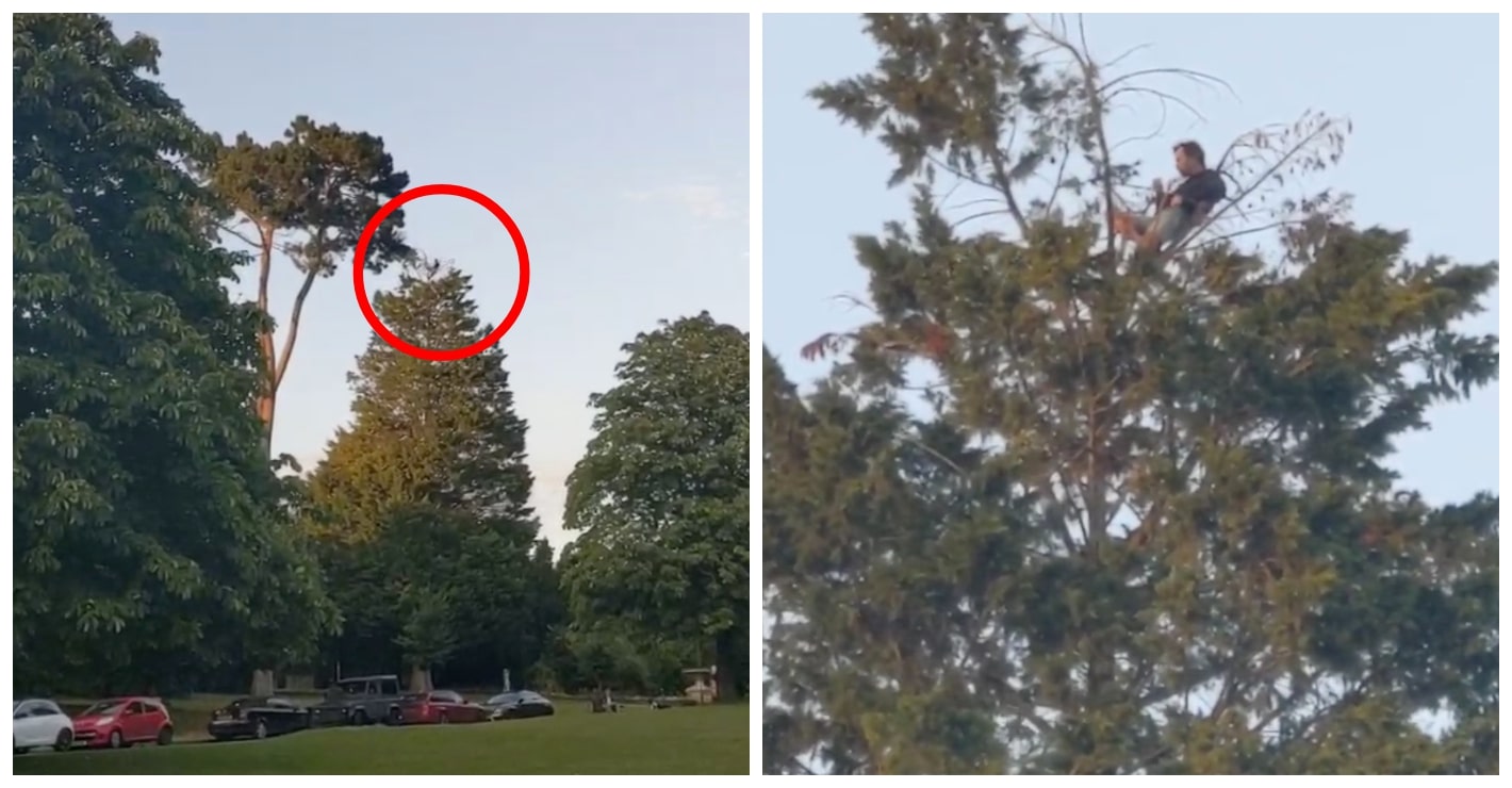 Man Follows Social Distancing Rules And Enjoys Picnic At The Top Of A ...