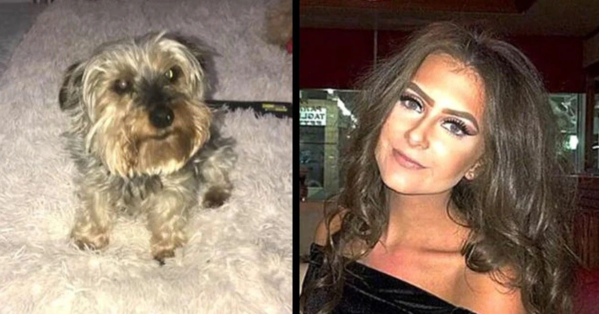 Woman Fired From Job For Taking Day Off To Grieve The Loss Of Her Pet Dog