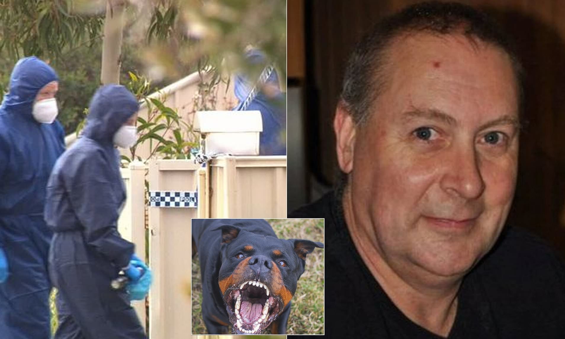 59-Year-Old Dog Owner Savagely Mauled To Death By His Own Rottweiler ...