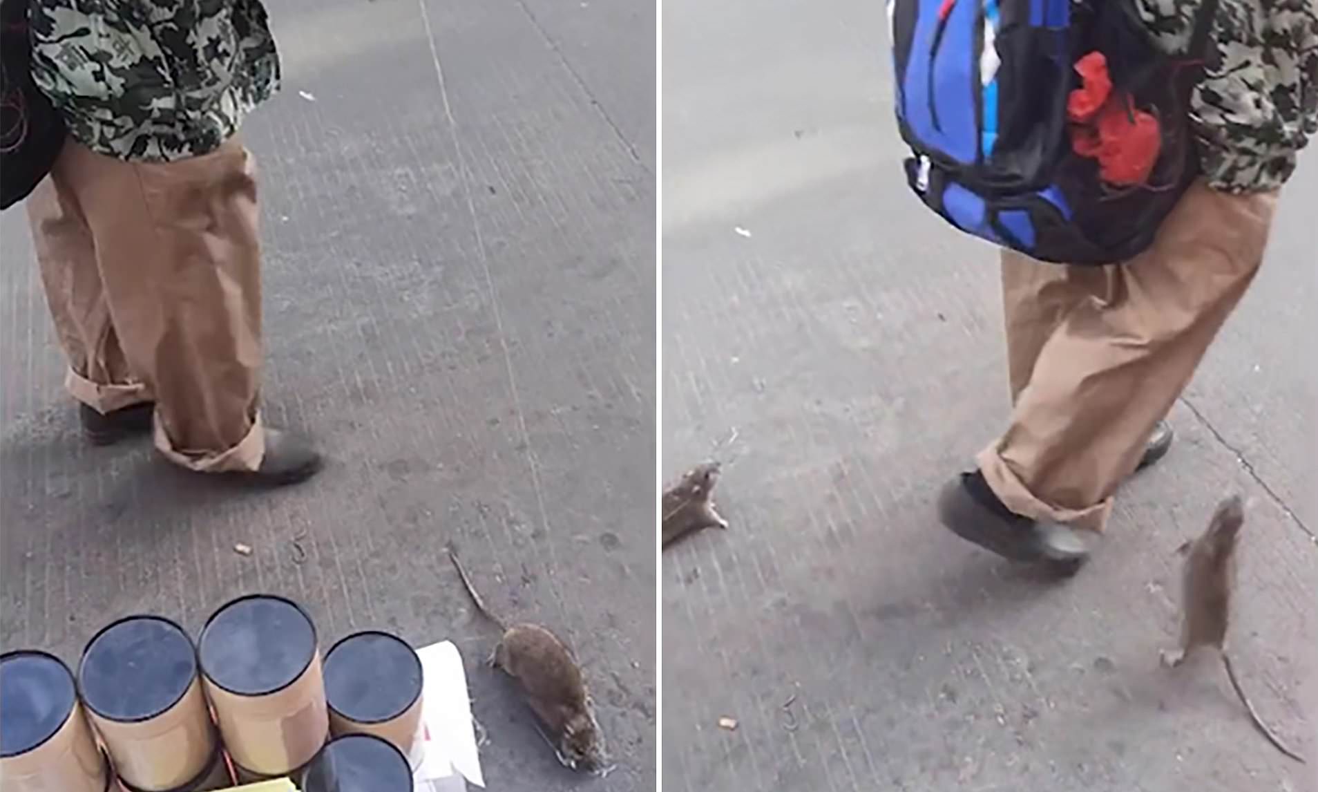 Chinese Man Walks 2 Rats Down The Street With Wire Through Their Mouths