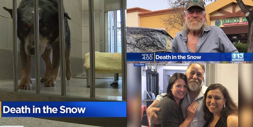 Loyal Dog Stays By Owner’s Dead Body For 2 Days After Getting Stranded ...